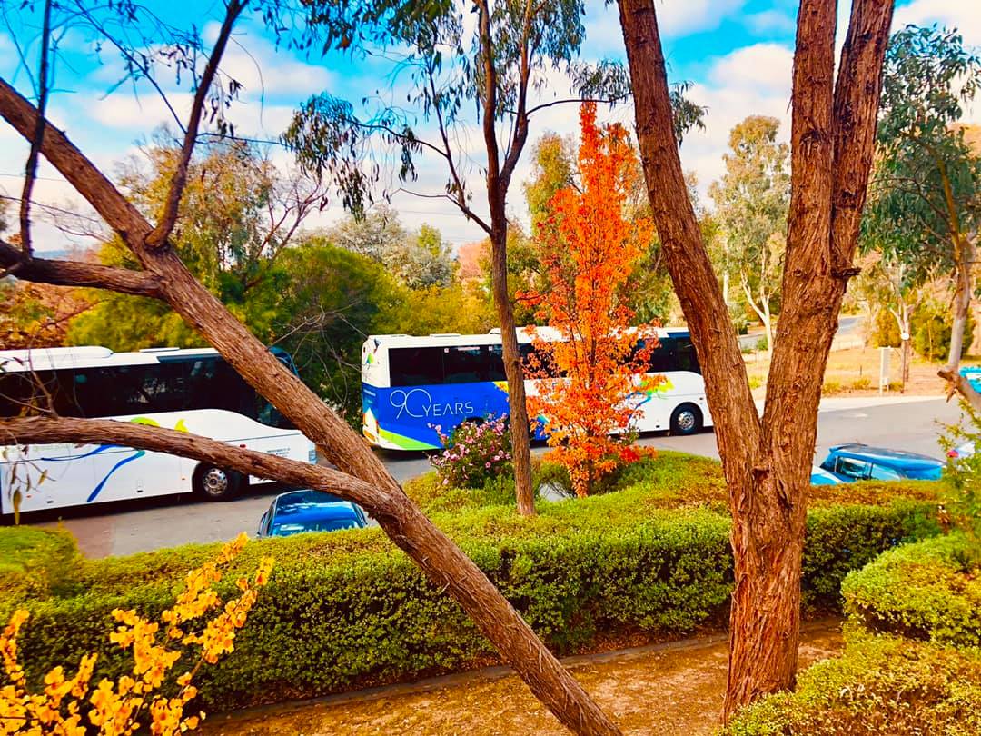 Bush Capital Lodge - The Y Canberra Region